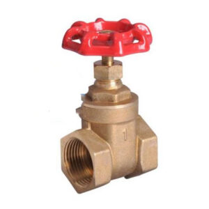 Screwed Brass Gate Valve – PROTECH TECHNICAL TERMINOLOGY